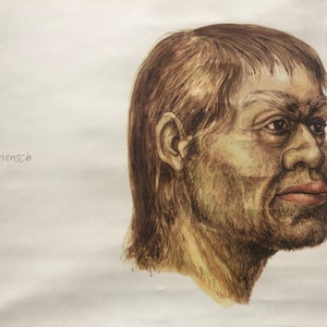 Vintage School Chart EVOLUTION OF MAN Poster Educational Chart Early ...