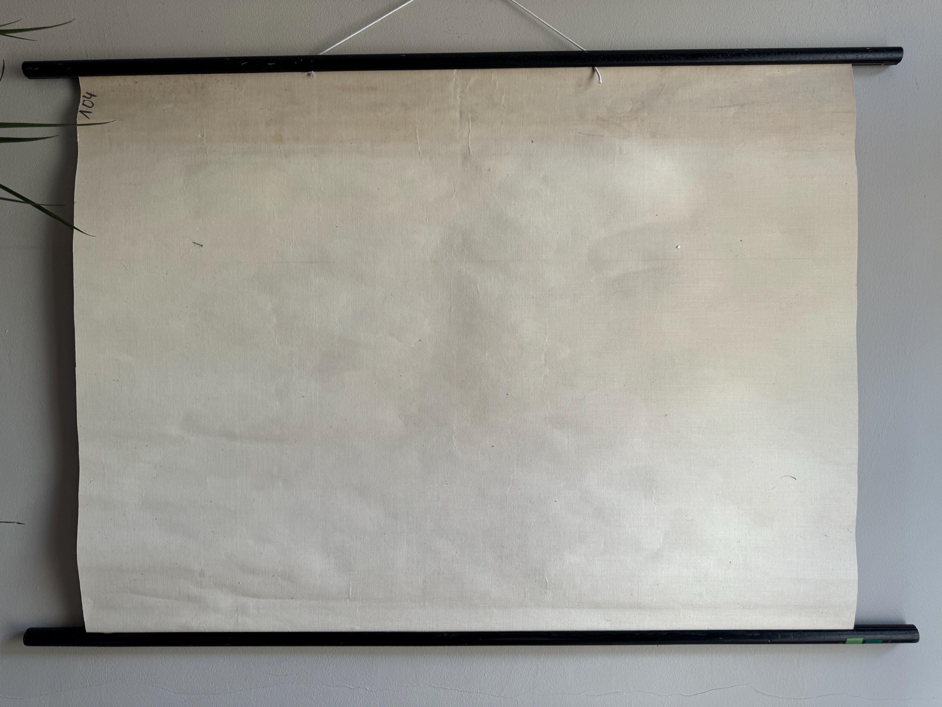 Vintage Swedish School Chart of GOATS 1950s Pull Down Educational Wall ...
