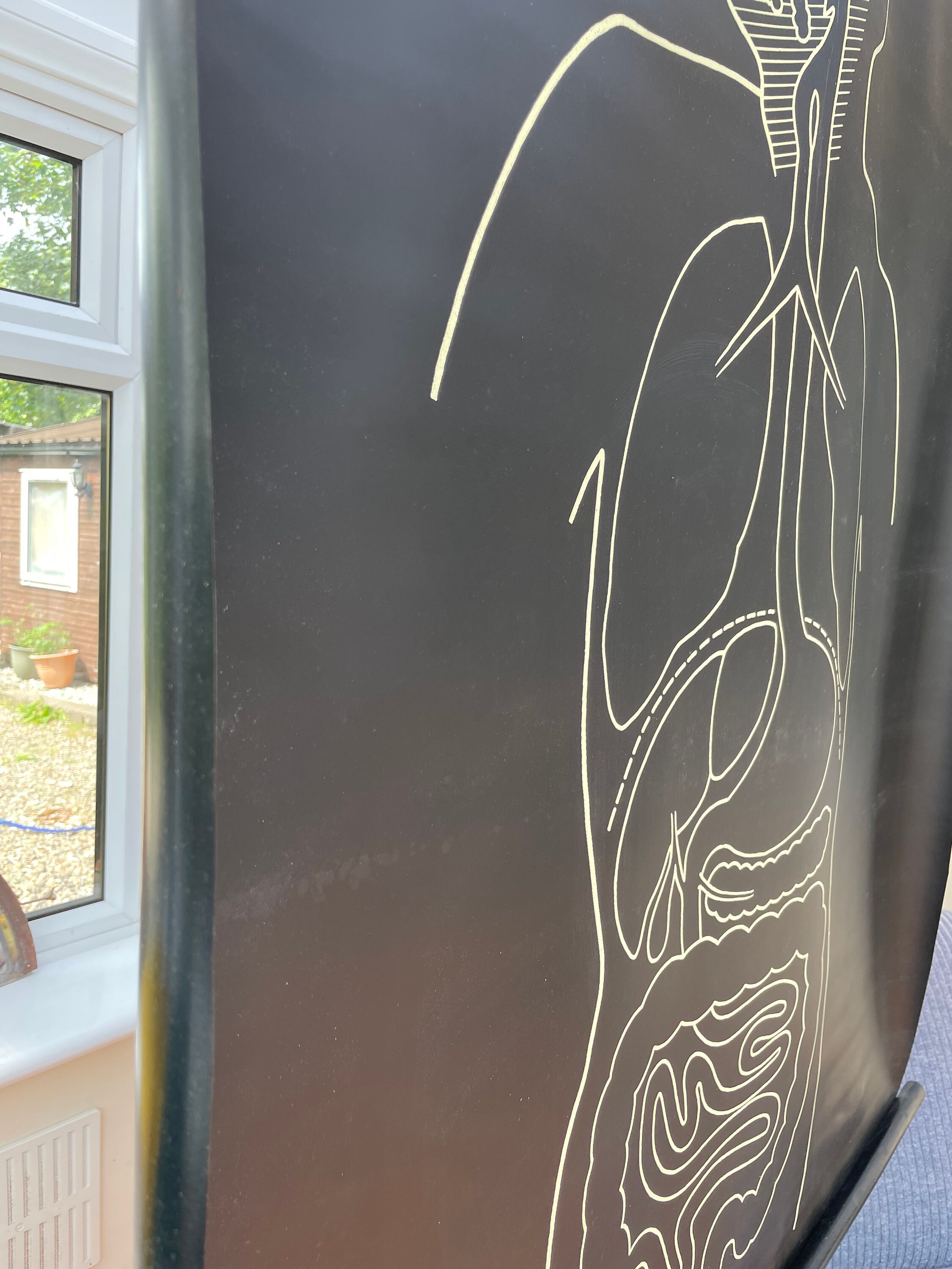 Vintage Roll Down School Chart of HUMAN INTERNAL ORGANS on Pvc Anatomy ...