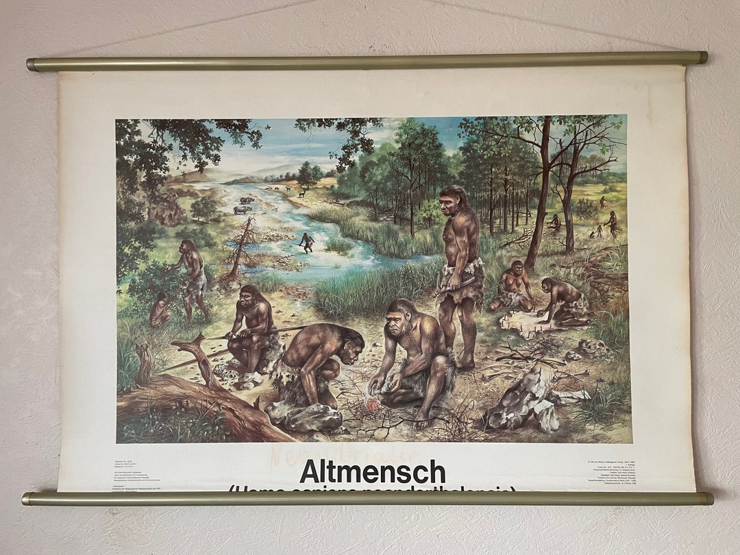 Vintage ICE AGE MAN School Chart Roll Down Educational Chart Evolution ...