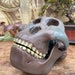 Vintage Somso Paranthropus Boisei Skull Model: Anatomy Education - Etsy