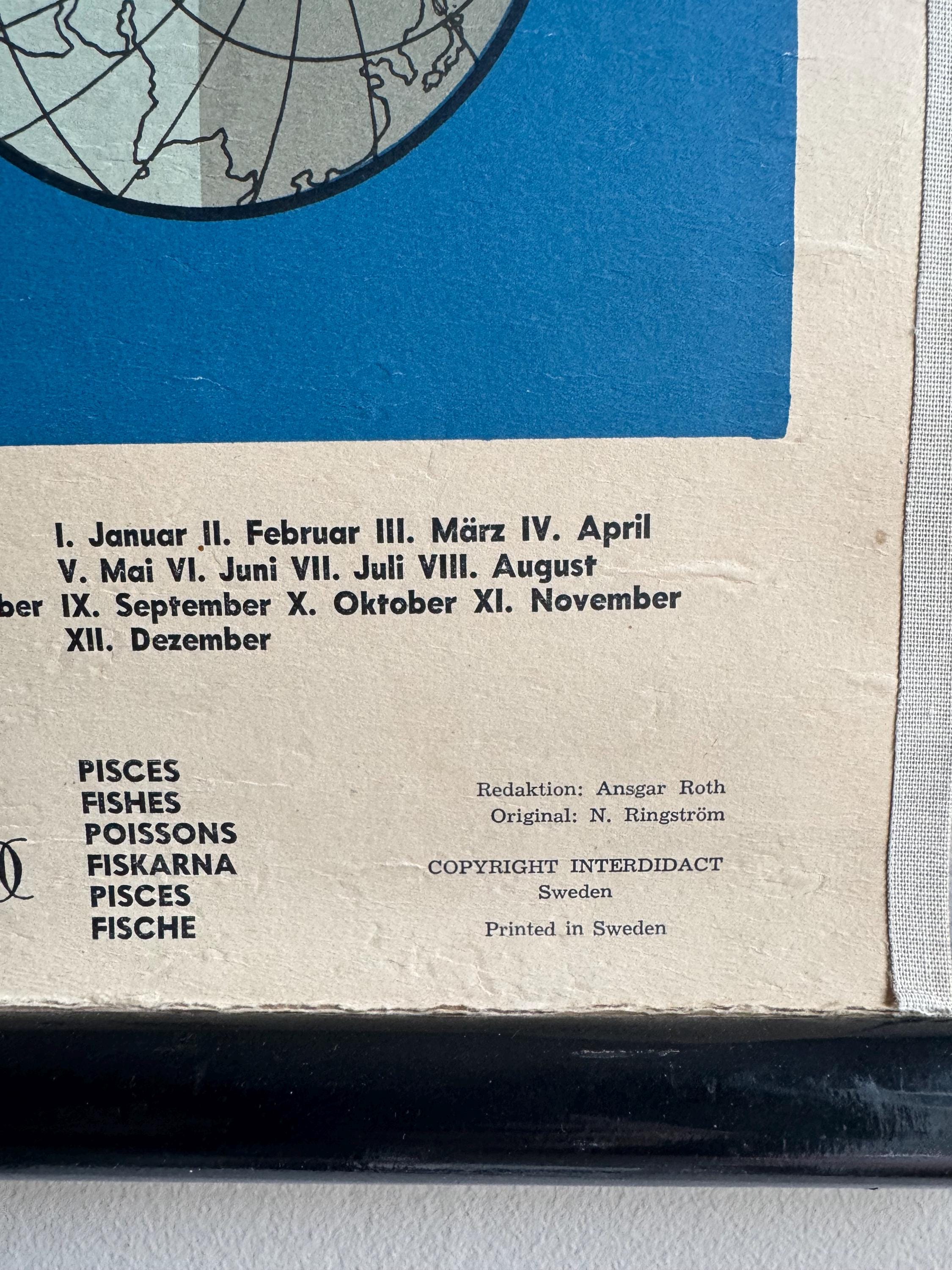 Vintage School Chart EARTHS ANNUAL REVOLUTION Swedish Educational Wall ...