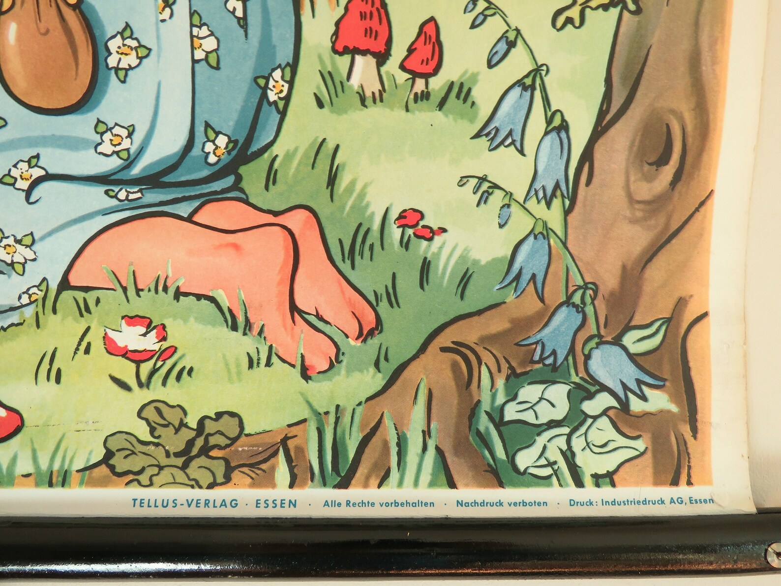 Vintage Snow White & Rose Red FAIRYTALE School Chart Wall | Etsy