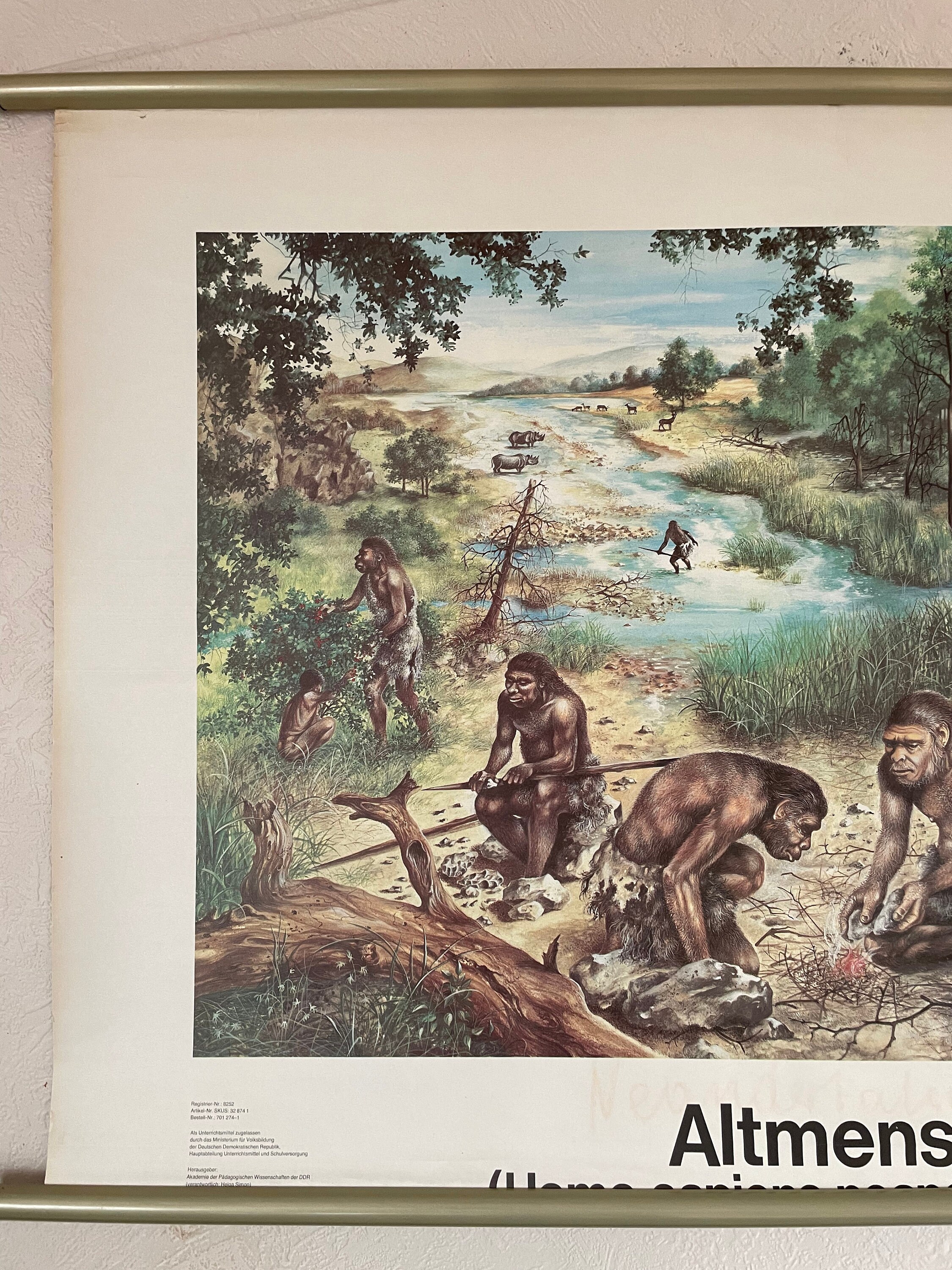 Vintage ICE AGE MAN School Chart Roll Down Educational Chart Evolution ...