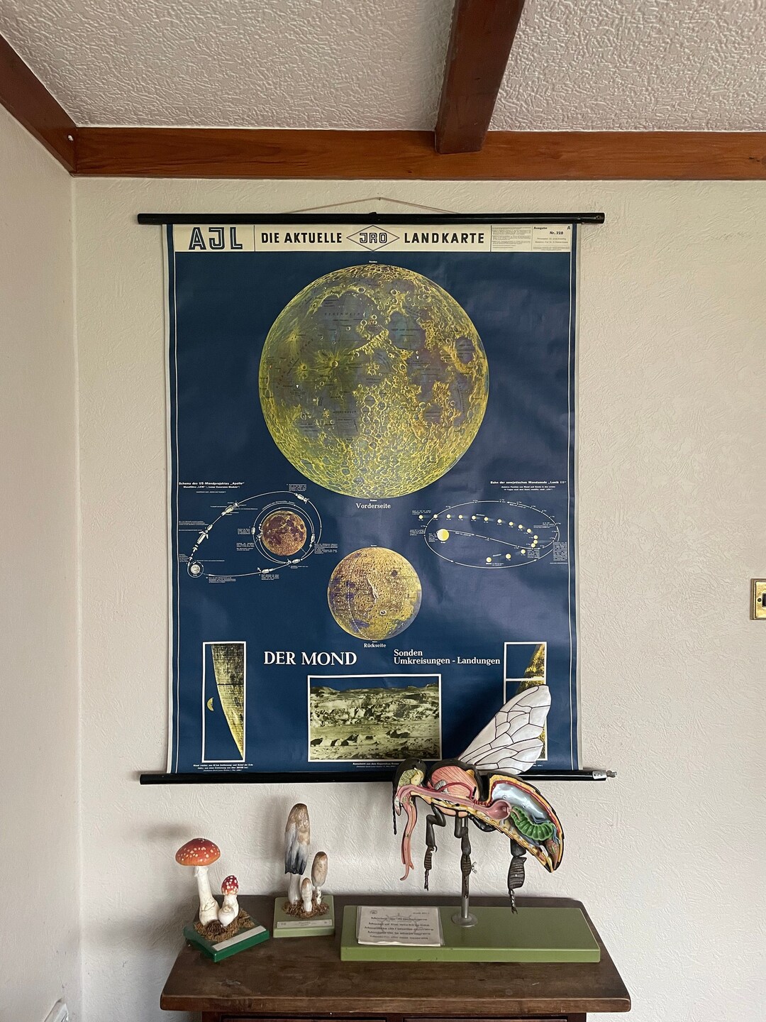 Vintage MOON Roll Down School Chart Space ASTRONOMY Educational Chart ...