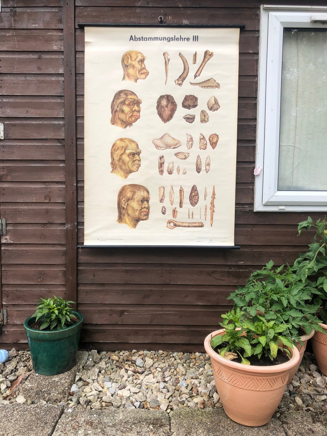 Vintage School Chart EVOLUTION OF MAN Poster Educational Chart Early ...