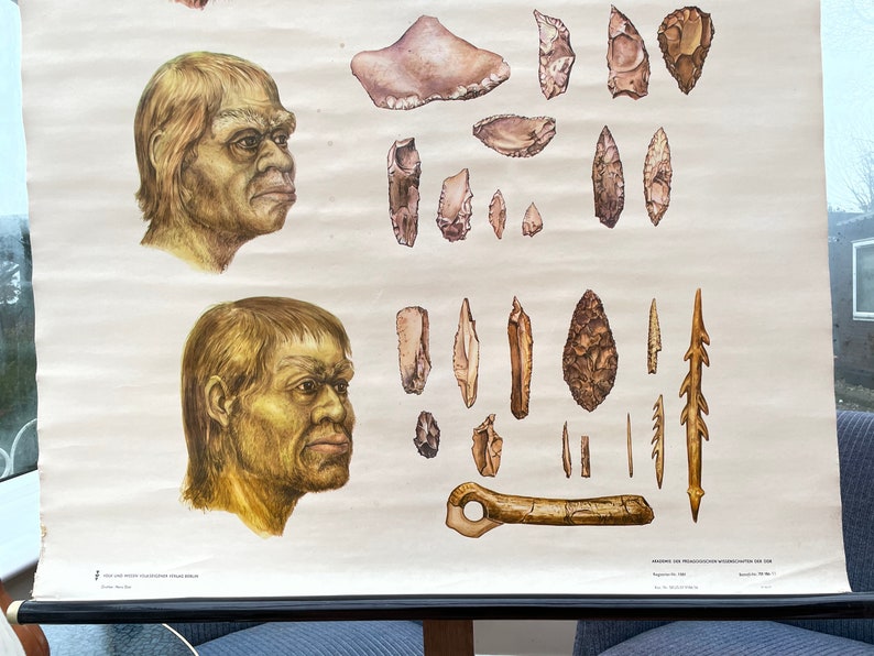 Vintage School Chart EVOLUTION OF MAN Poster Educational Chart - Etsy