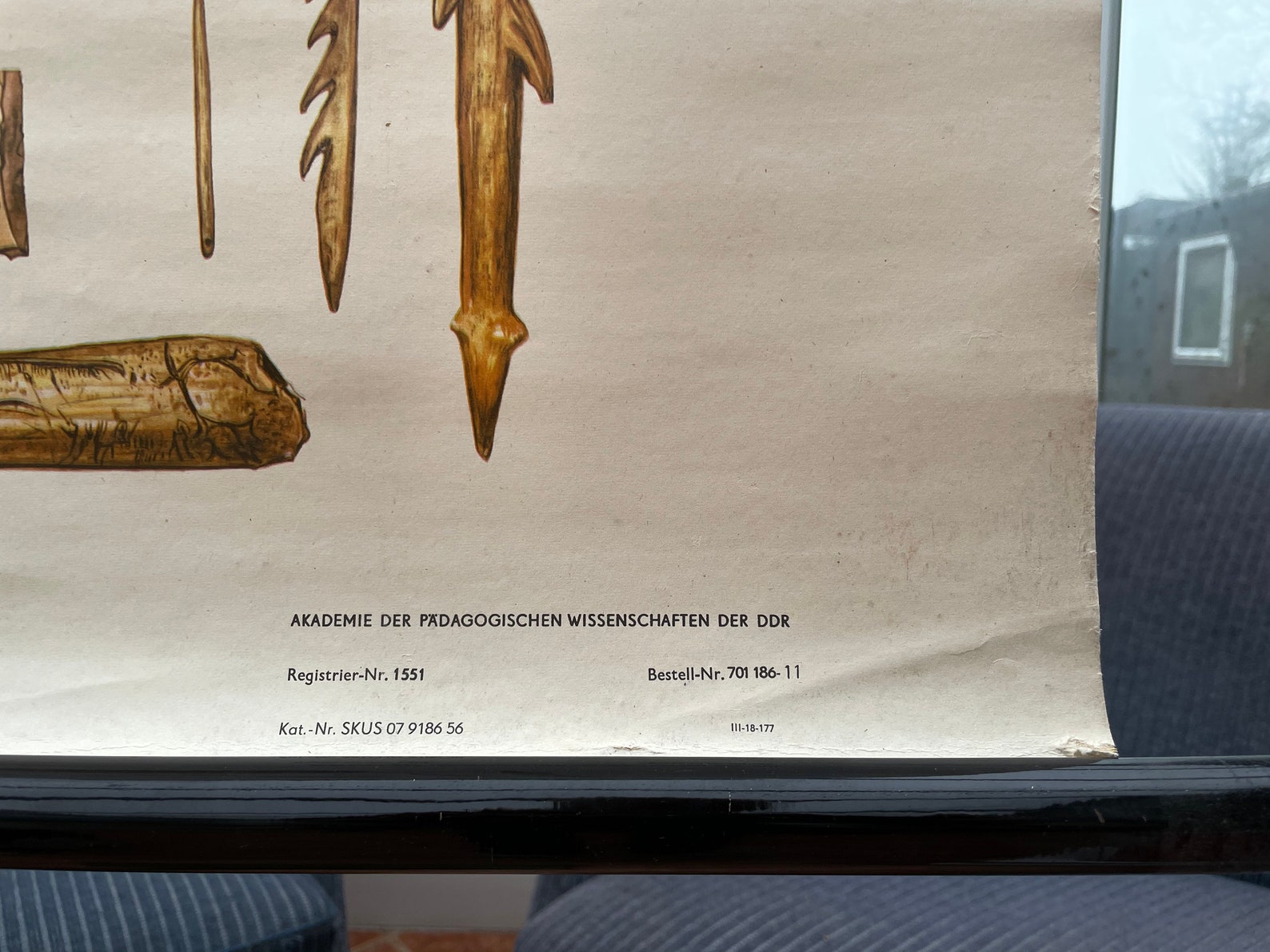 Vintage School Chart EVOLUTION OF MAN Poster Educational Chart | Etsy