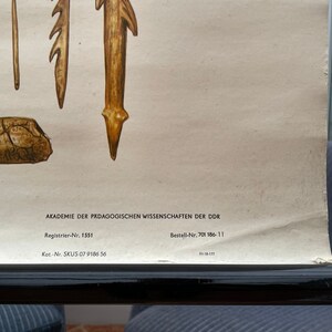 Vintage School Chart EVOLUTION OF MAN Poster Educational Chart Early ...