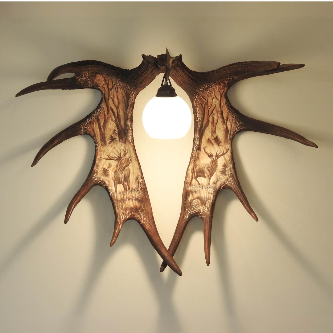 Real Large Moose Antler Sconce Shows Deers - Etsy