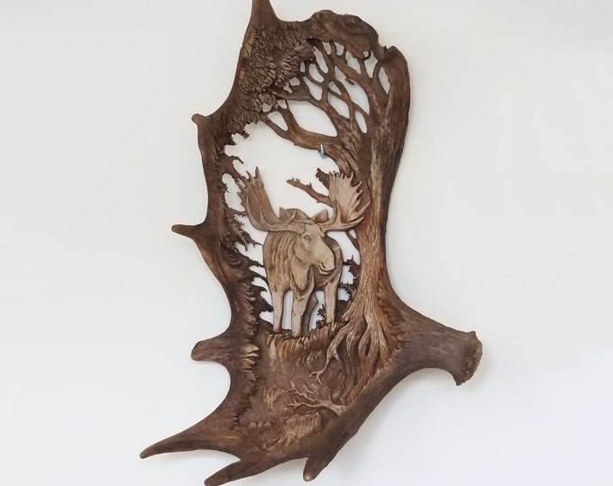 Moose Antler Carving - Etsy