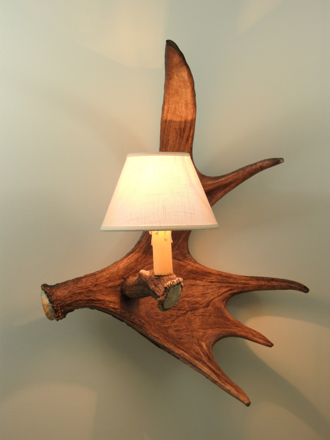 Moose Antler Wall Sconce With Shades - Etsy