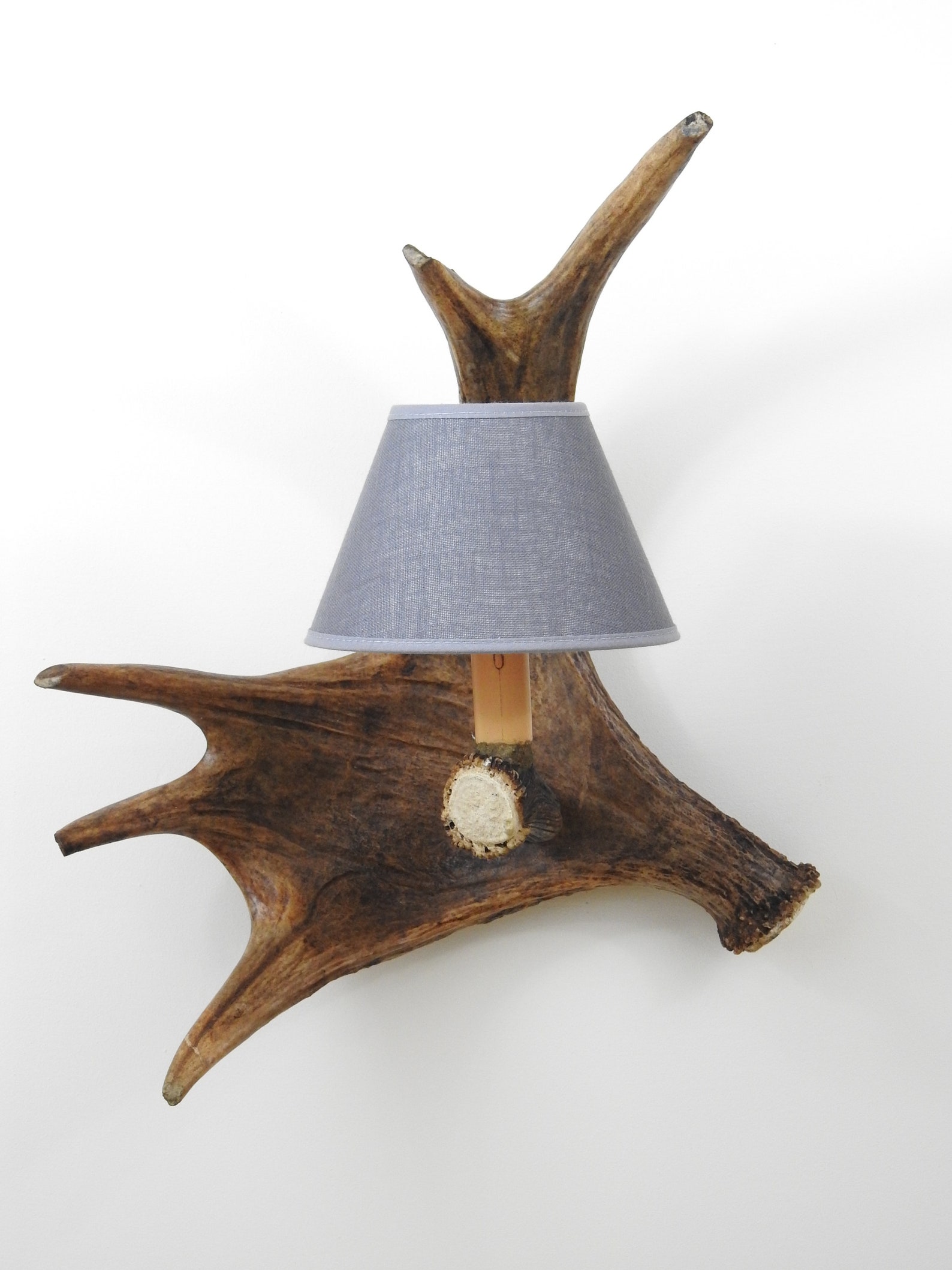 Moose Antler Wall Sconce With Shades - Etsy