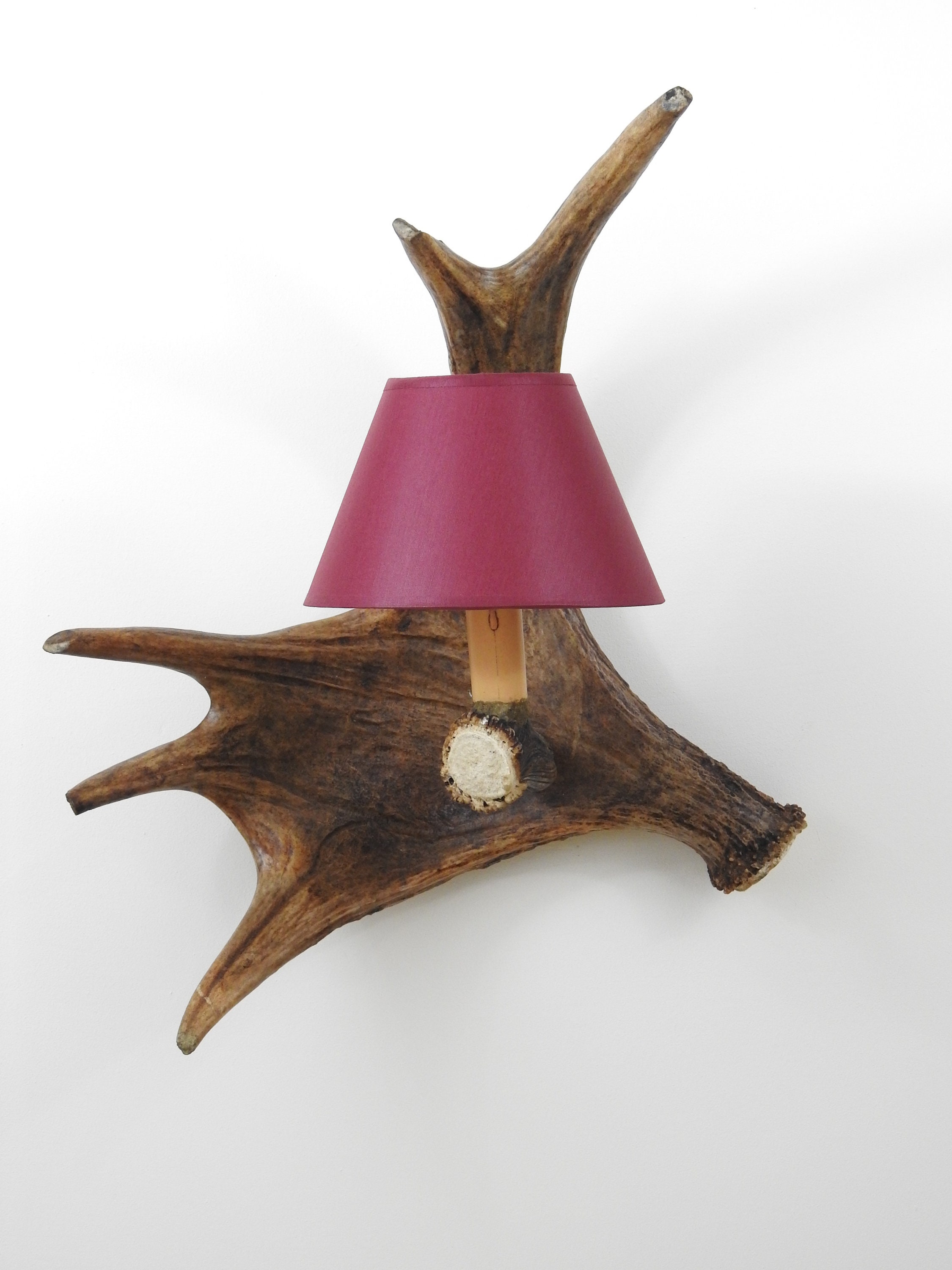 Moose Antler Wall Sconce With Shades - Etsy