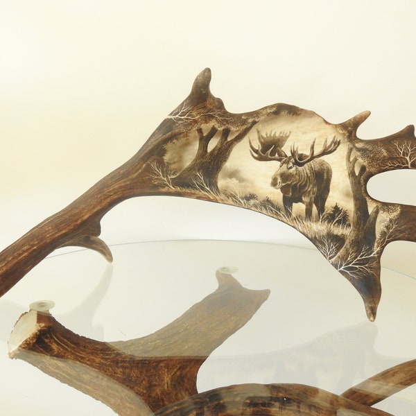 Moose Antler Carving - Etsy