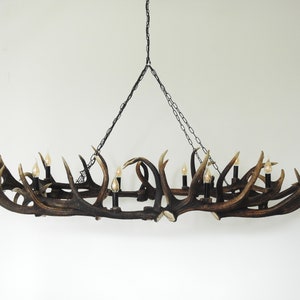 Long Real Antler Chandelier With Downlights - Etsy