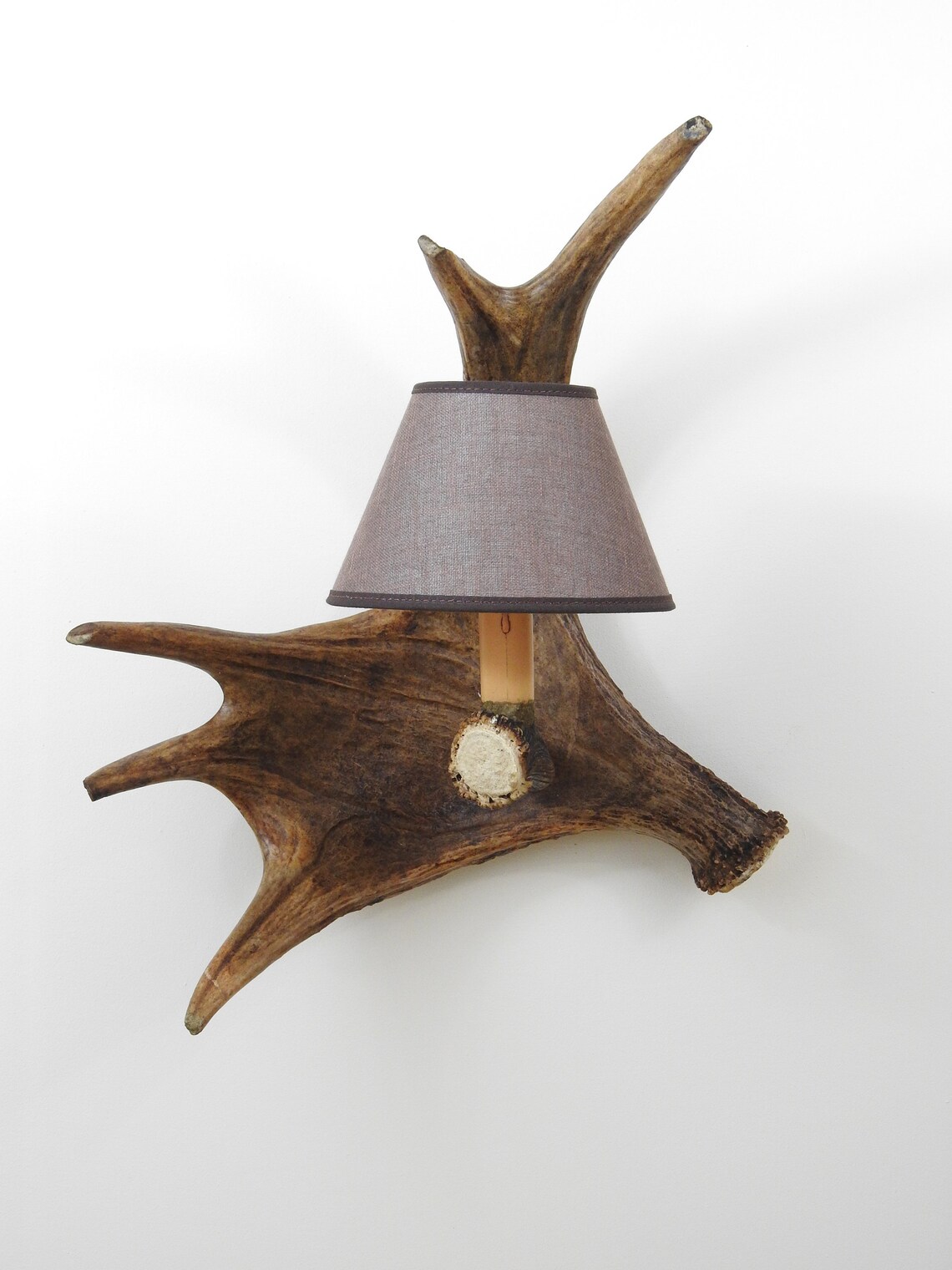 Moose Antler Wall Sconce With Shades - Etsy