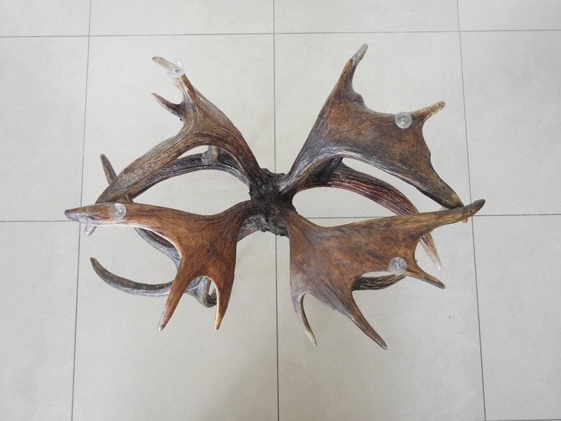Moose Antler Table for Coffee - Etsy