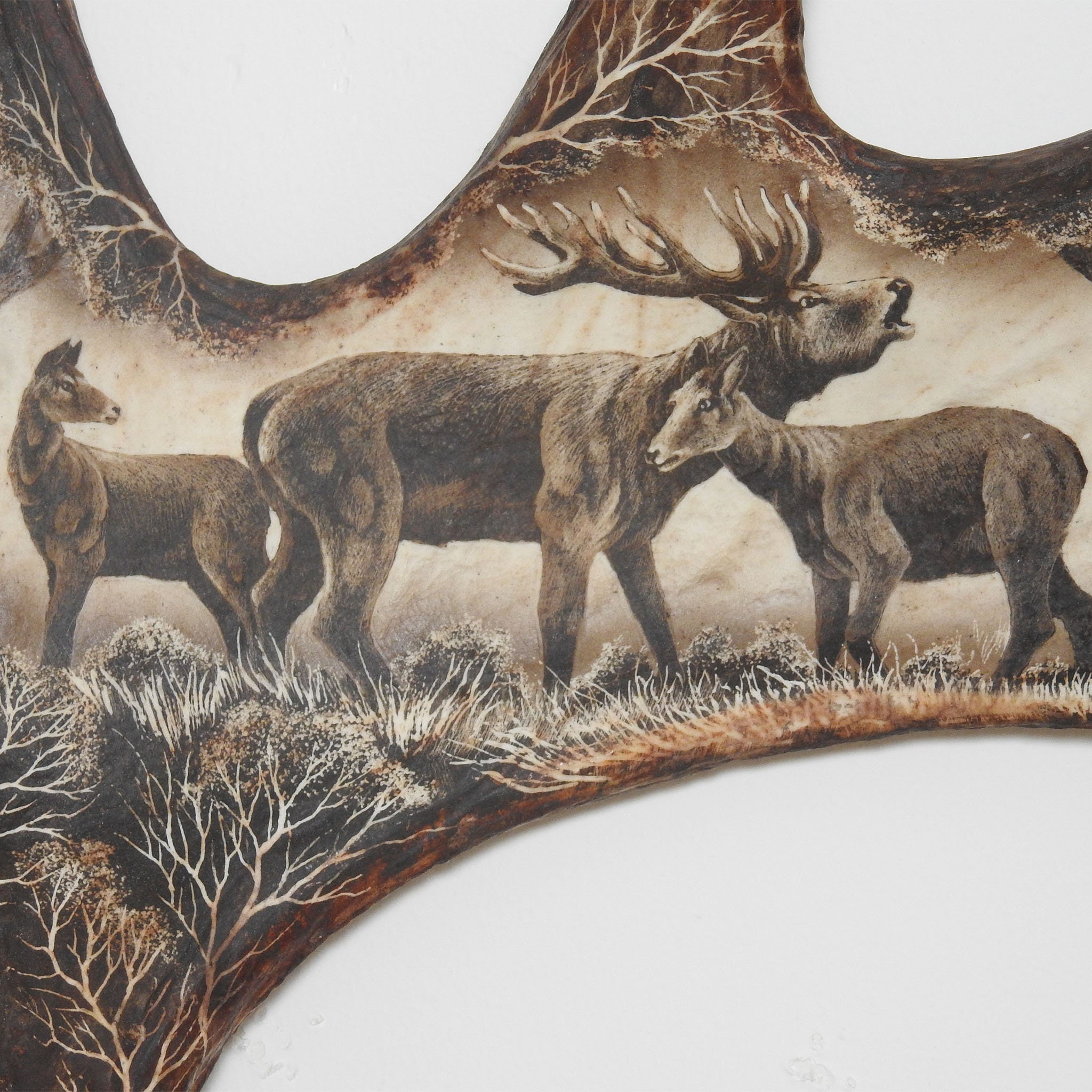 Real Moose Antler Carving Shows Roaring Deers - Etsy