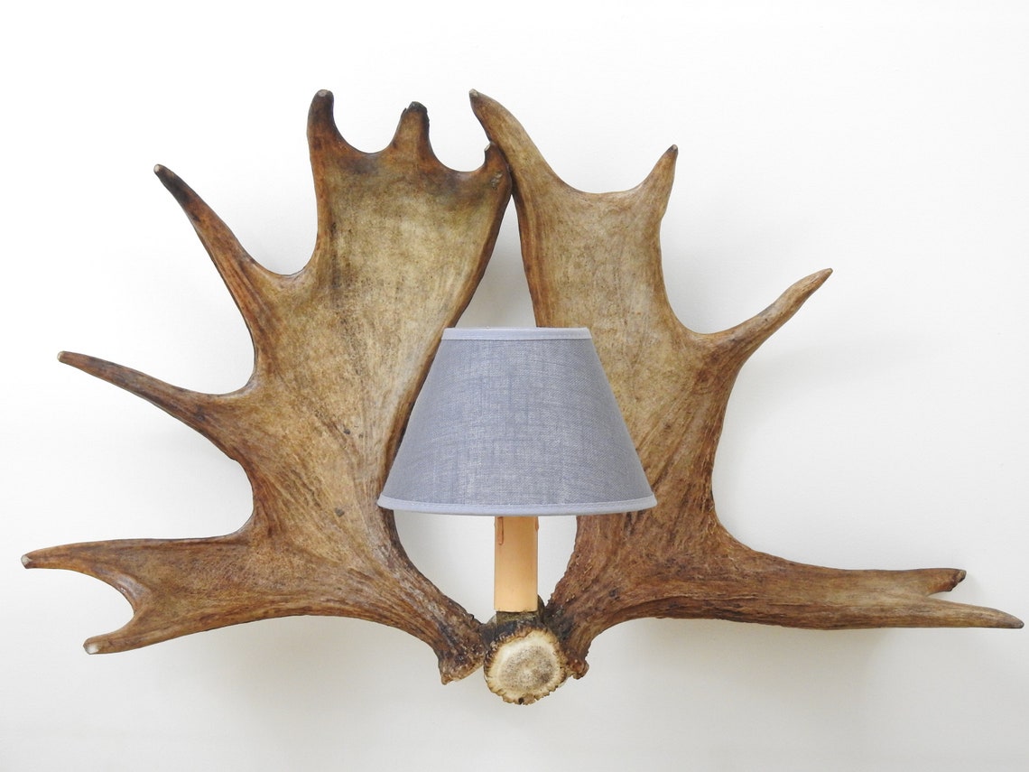 Double Moose Antler Wall Sconce With Shade - Etsy