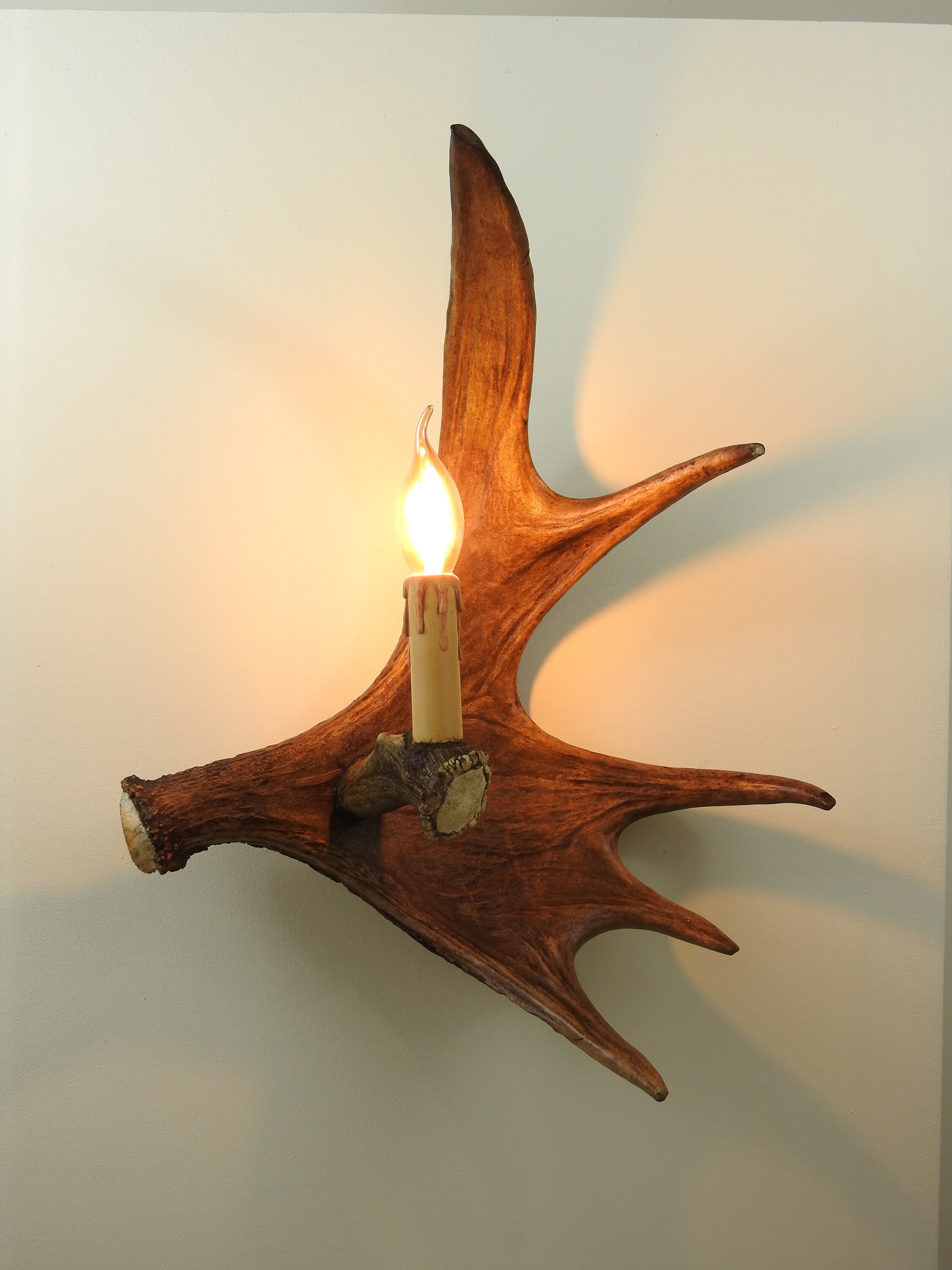 Moose Antler Wall Sconce | Etsy