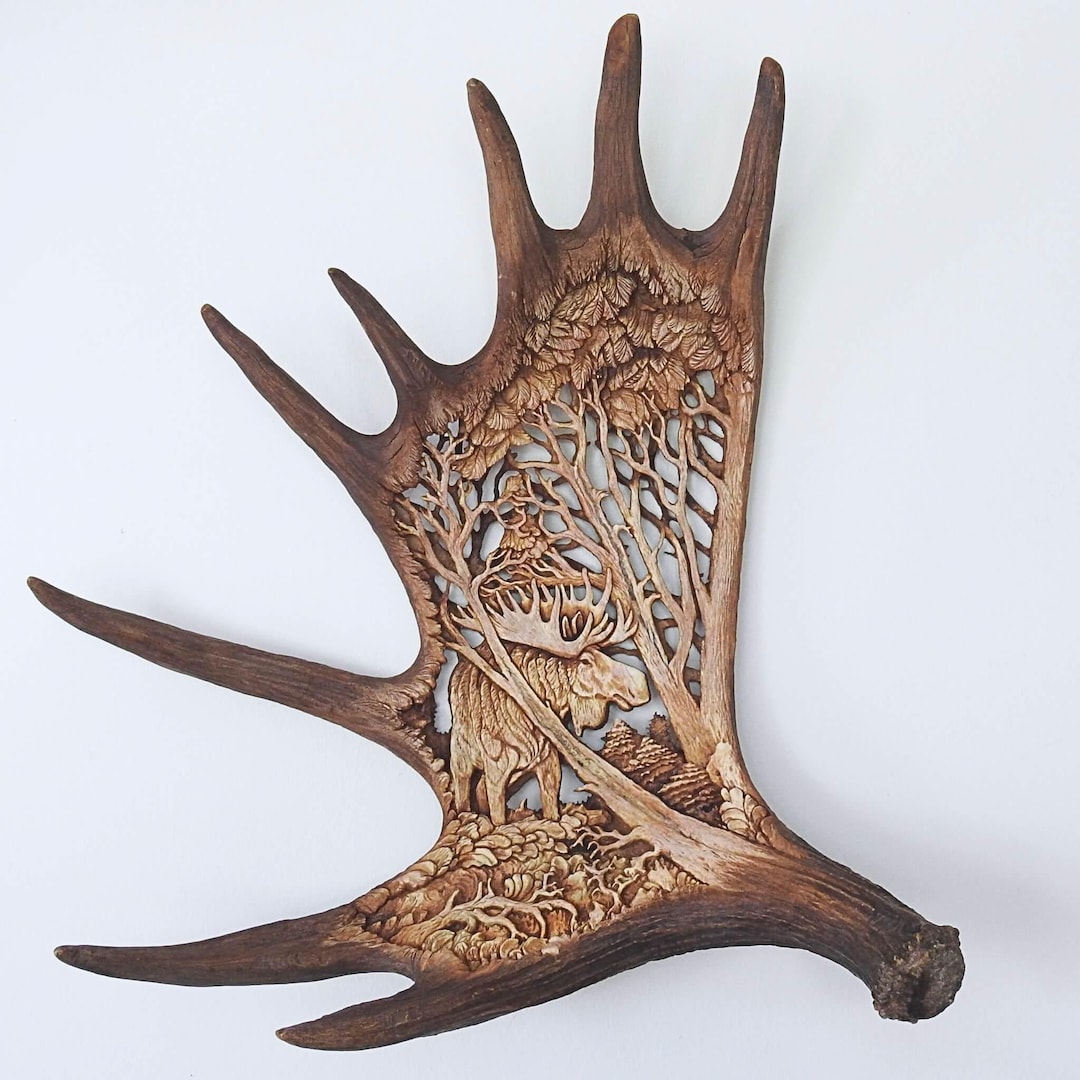 Moose Antler Carving - Etsy