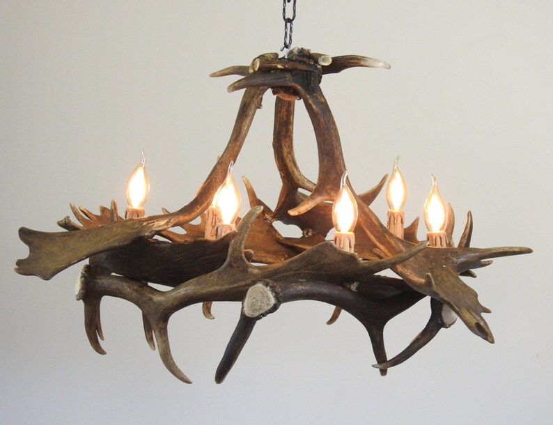 Real Fallow Deer Antler Chandelier for 6 Lights - Etsy