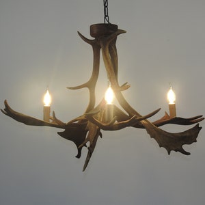 Fallow Deer Real Antler Chandelier for 3 Lights - Etsy