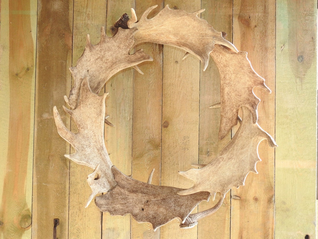 Real Antler Wreath, Decor for Christmas Door Ornaments - Etsy