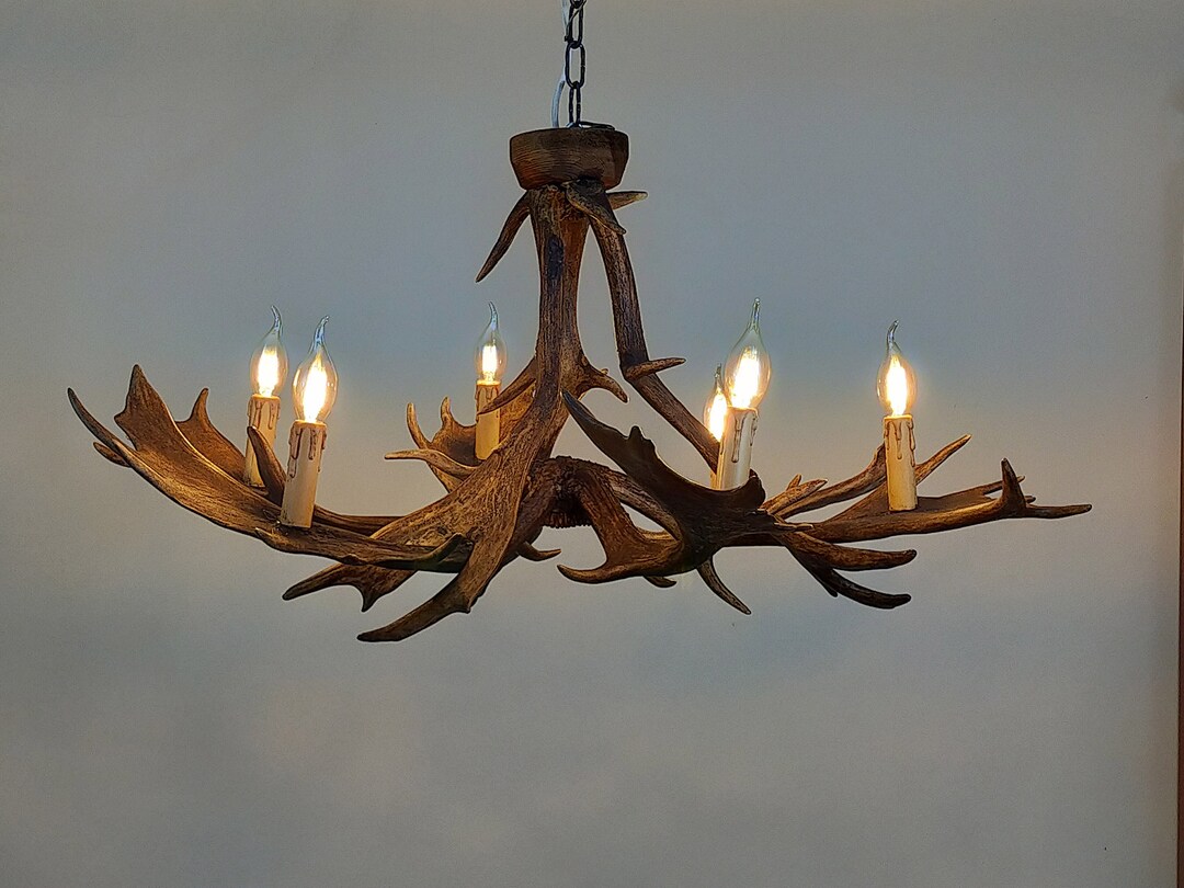 Real Fallow Deer Antler Chandelier for 6 Lights - Etsy