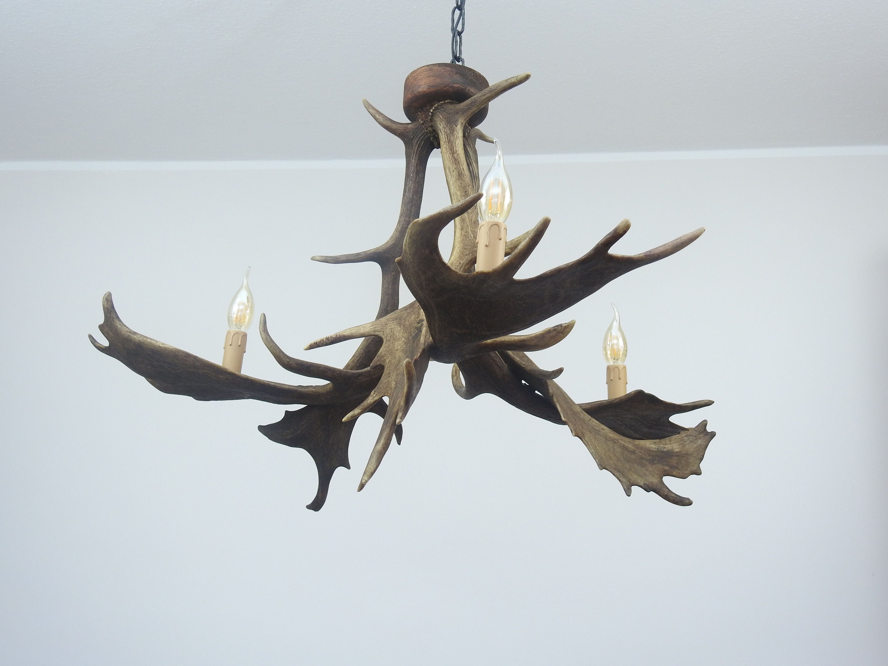 Fallow Deer Real Antler Chandelier for 3 Lights - Etsy UK