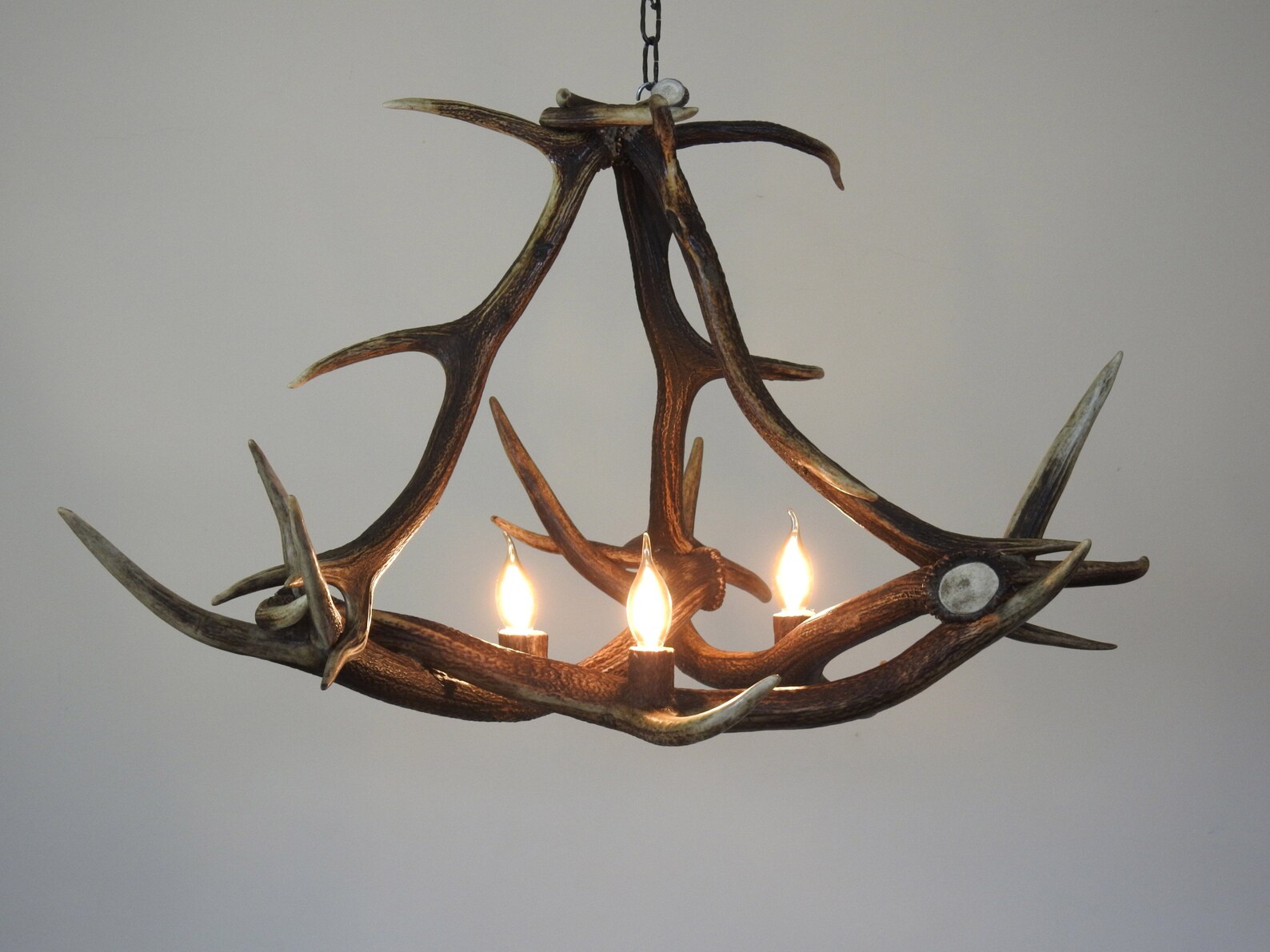 Real Antler Chandelier for 3 Lights | Etsy