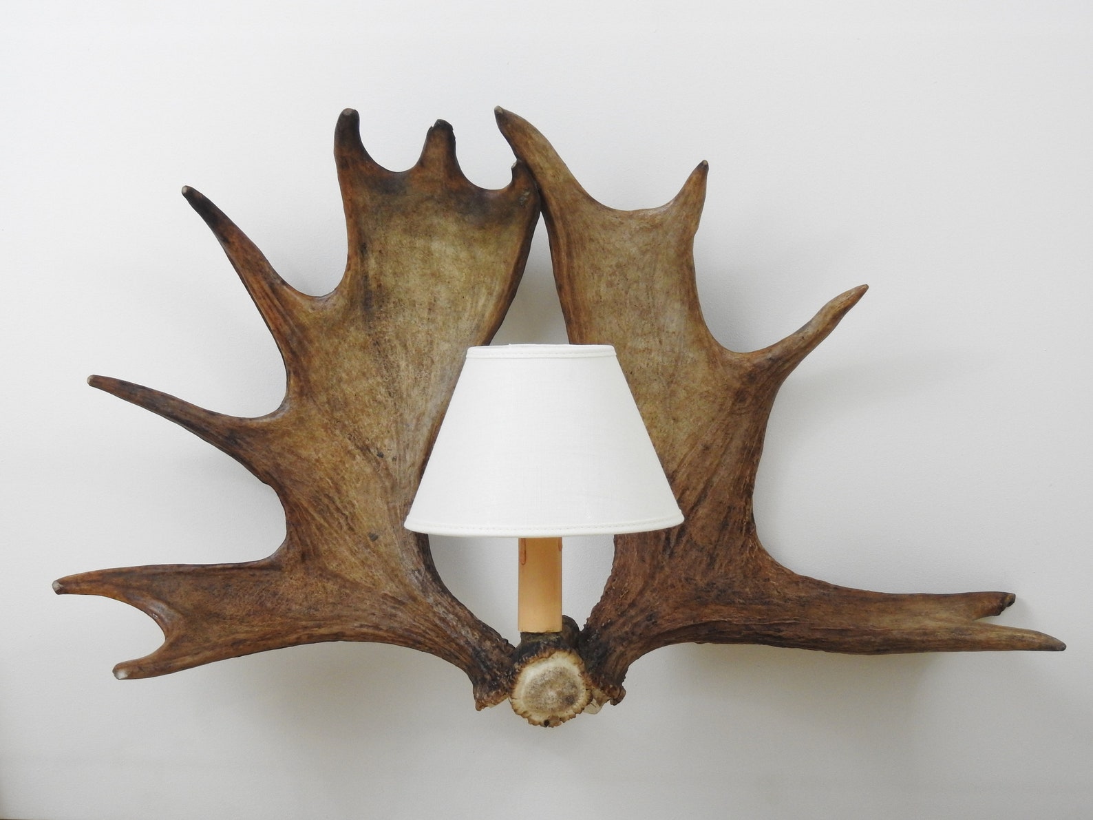 Double Moose Antler Wall Sconce With Shade - Etsy
