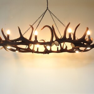 Long Real Antler Chandelier With Downlights - Etsy
