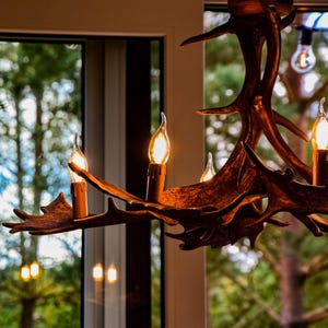 Real Fallow Deer Antler Chandelier for 6 Lights With Candle Bulb ...