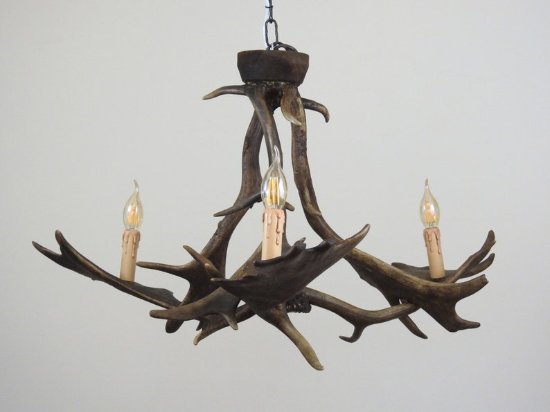 Fallow Deer Real Antler Chandelier for 3 Lights - Etsy UK