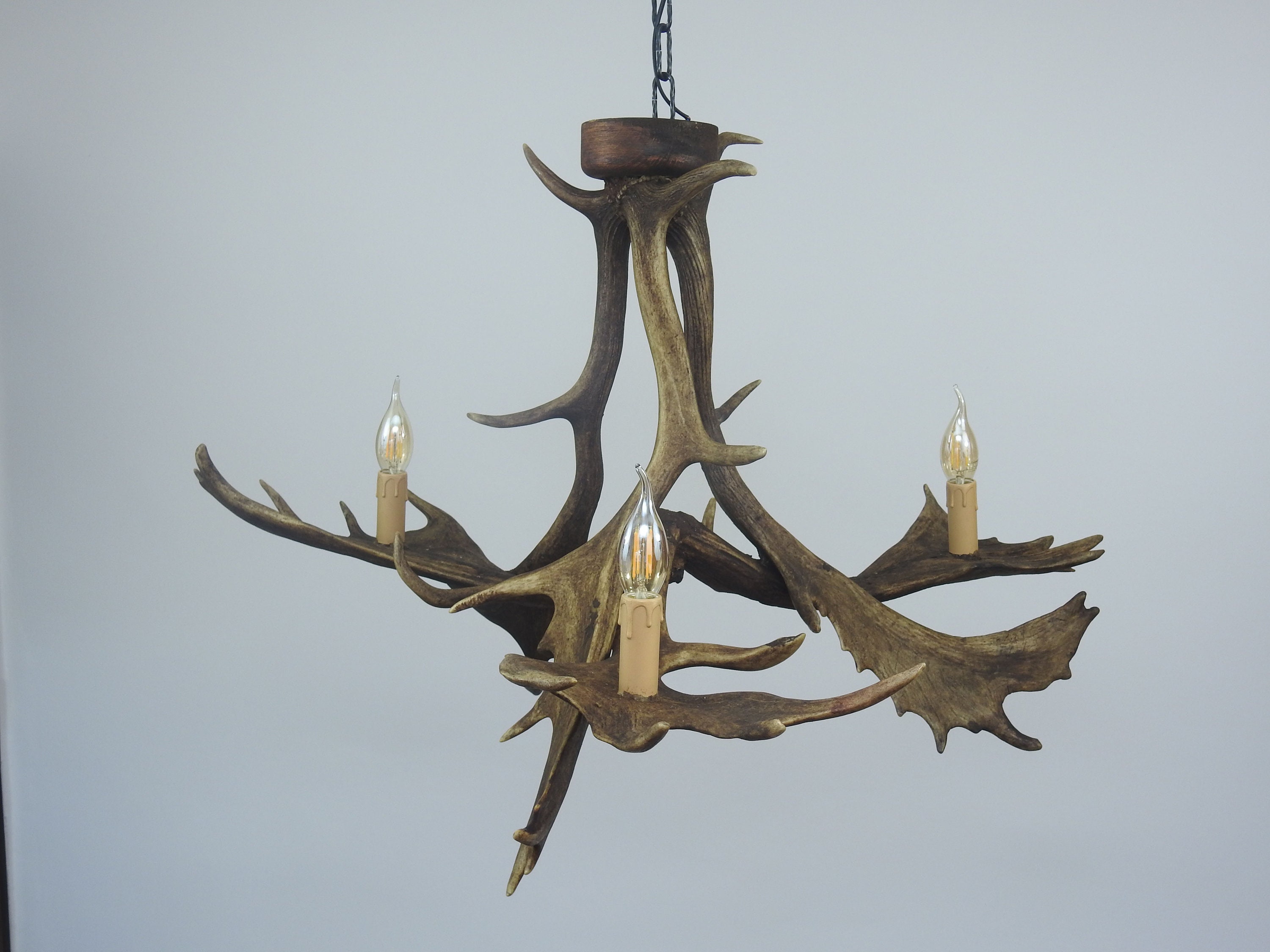 Fallow Deer Real Antler Chandelier for 3 Lights - Etsy UK