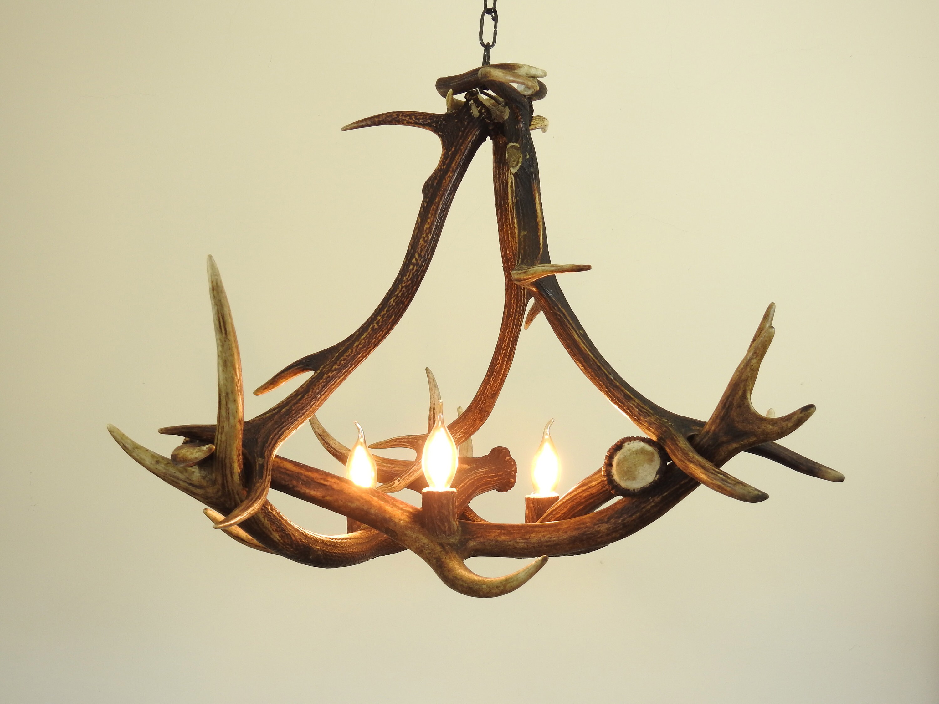 Real Antler Chandelier for 3 Lights - Etsy
