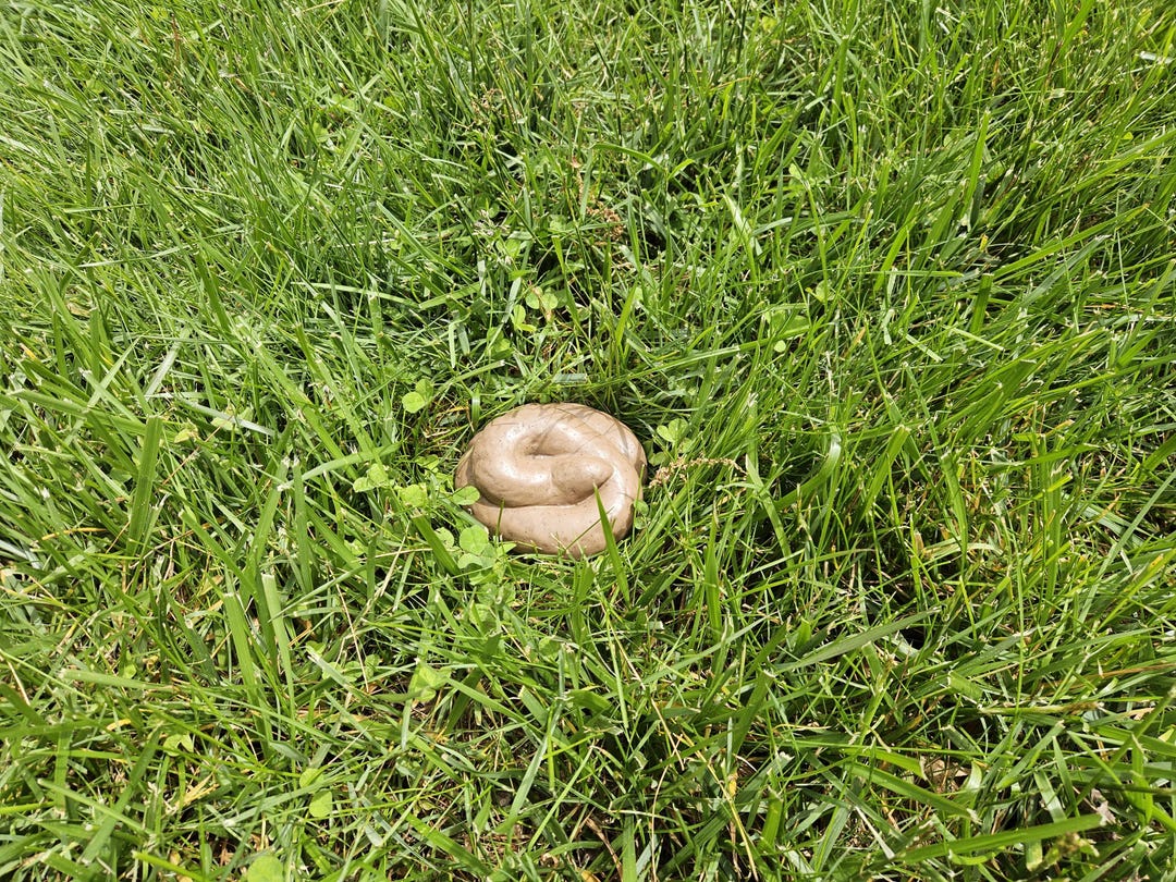 Concrete Poop Lawn Sculpture - Etsy
