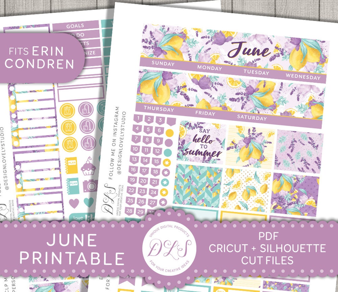 June Monthly Kit, Erin Condren June Printables, Erin Condren June ...