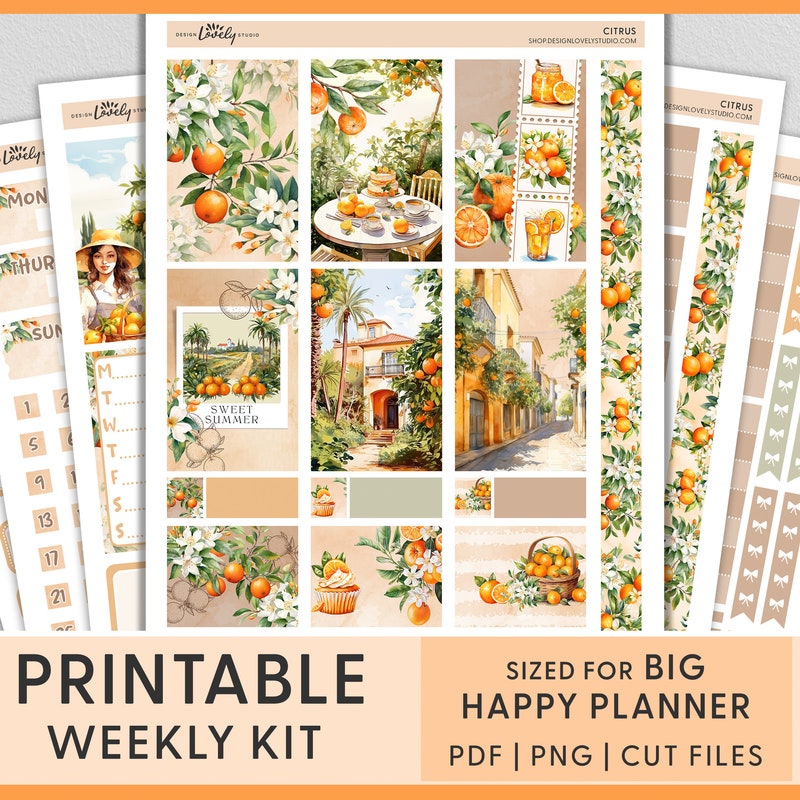 Fruit Sticker Big - Etsy