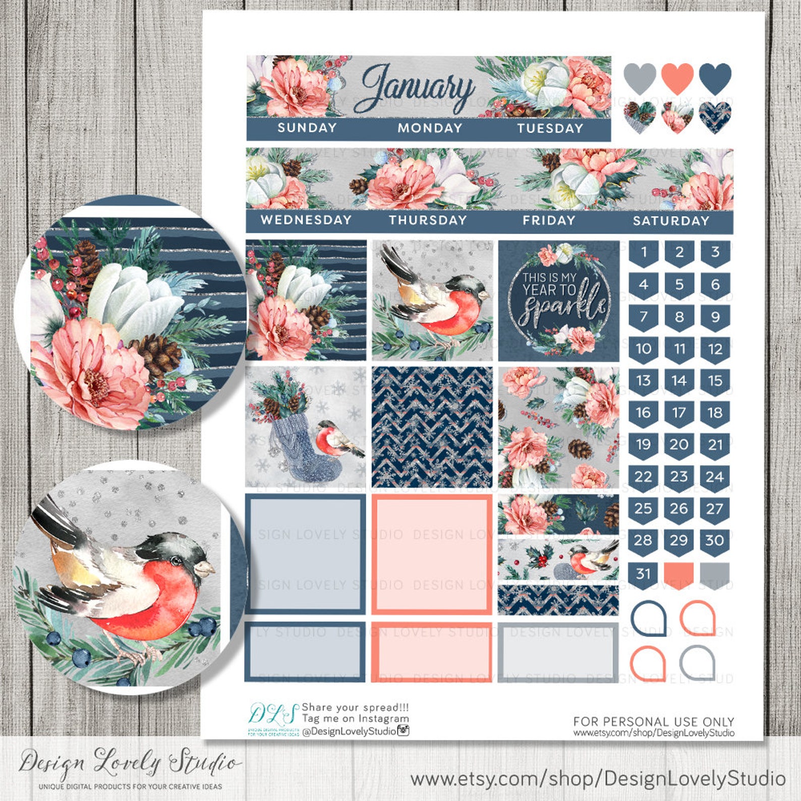 Big Happy Planner January Stickers Kit Big Happy Planner | Etsy