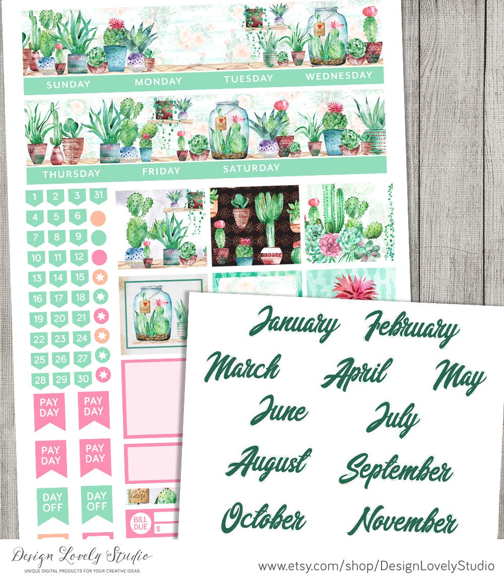 PRINTABLE CACTUS Monthly Planner Stickers, for Erin Condren Life ...