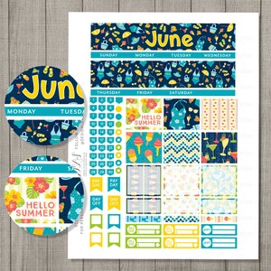 June Planner Kit, June Monthly Stickers Kit, Fits Erin Condren, ECLP ...