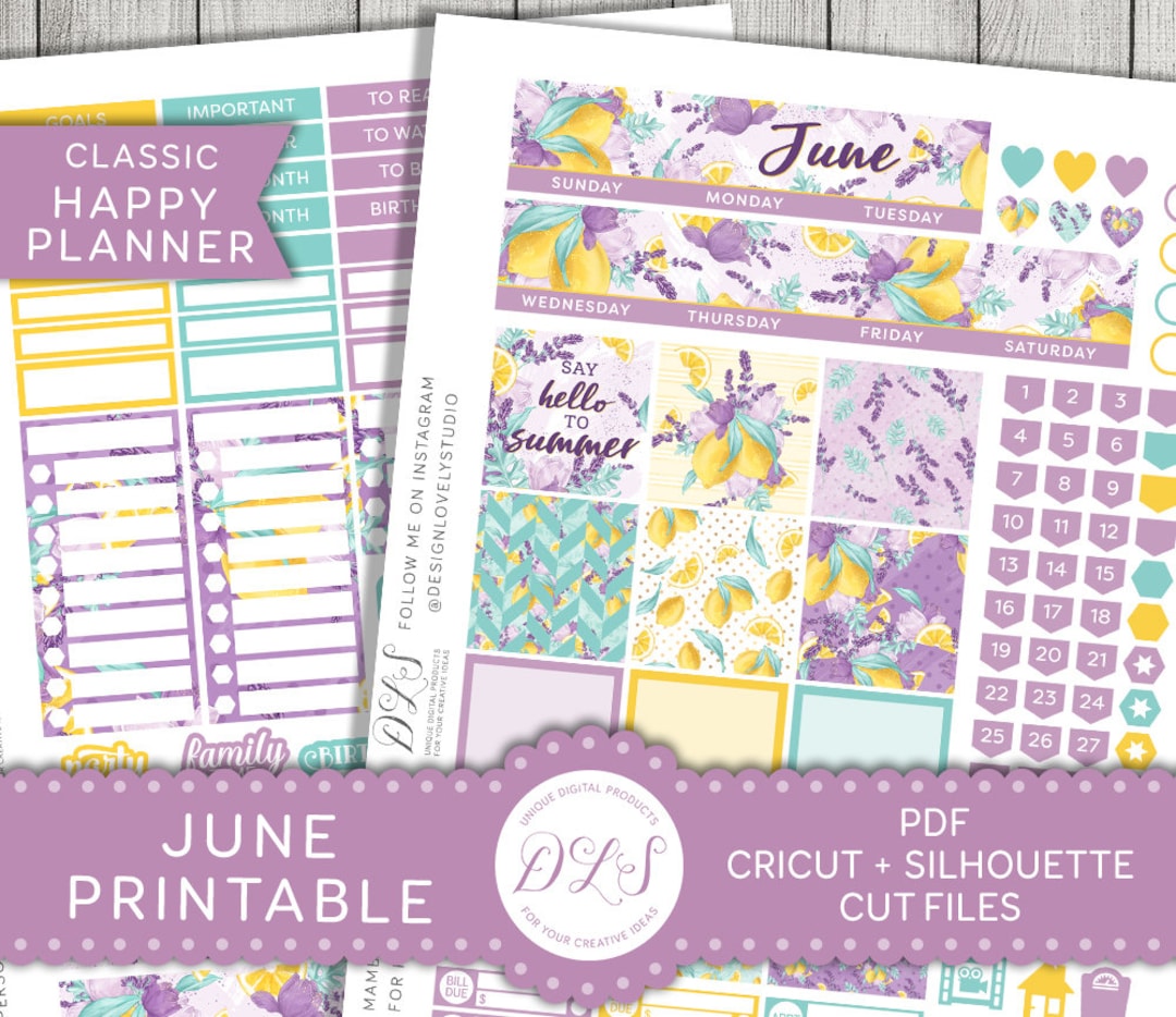 Happy Planner June Monthly Kit, June Happy Planner Printable Stickers ...