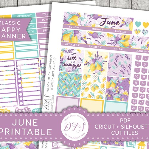 Happy Planner June Monthly Kit June Happy Planner Printable - Etsy