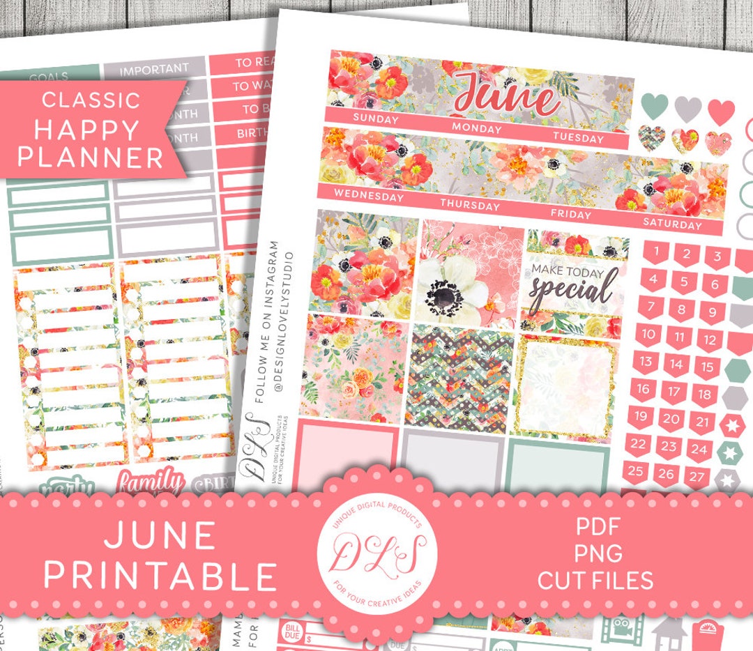 Printable JUNE Stickers Kit, Happy Planner JUNE Monthly Stickers Kit ...