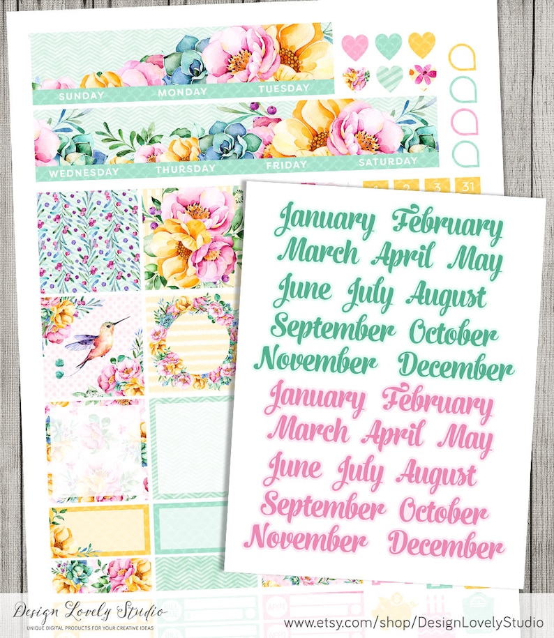 Happy Planner Monthly Kit, Happy Planner Monthly Stickers, Editable ...