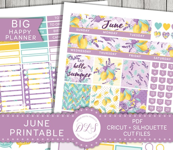 June Big Happy Planner Stickers Printable Big Happy Planner | Etsy
