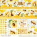 June PRINTABLE Planner Stickers, Printable June Monthly Stickers Kit ...